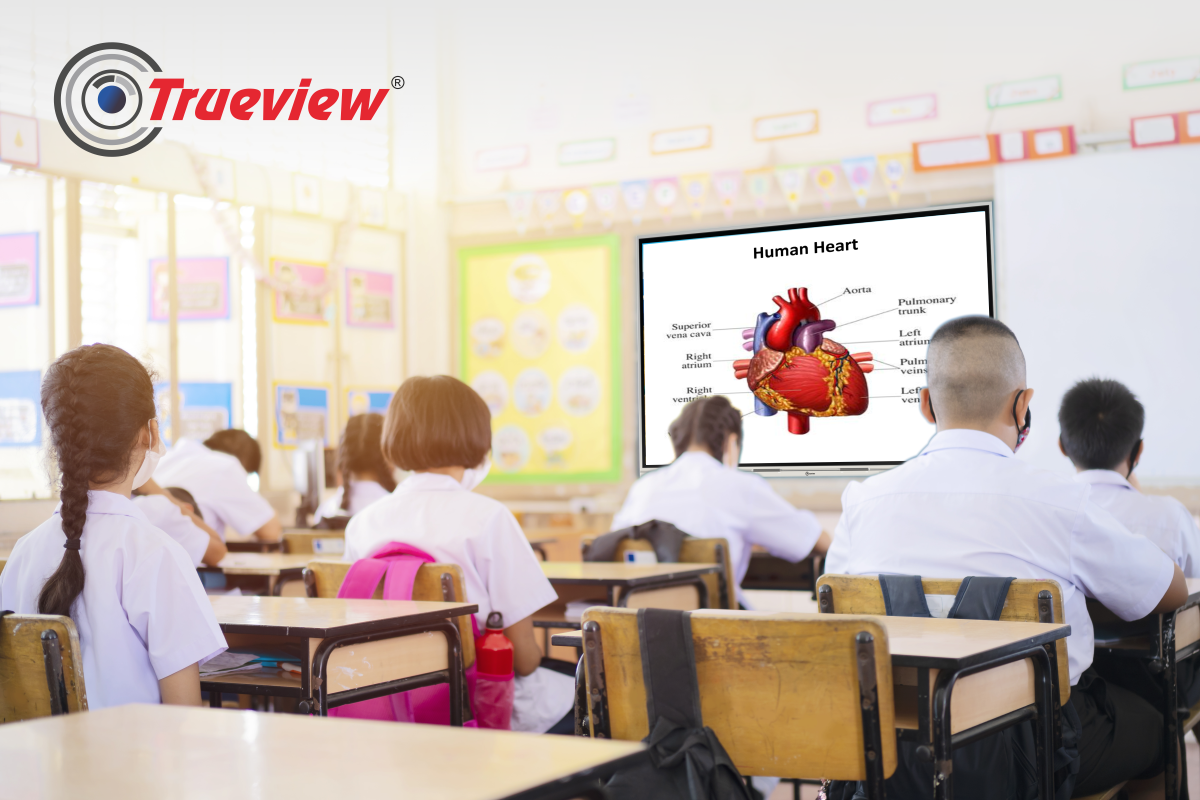 Elevating Gaming Zones: The Impact of Interactive Panels.