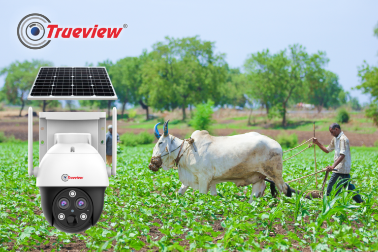 Trueview Solar Powered CCTV Camera for Wildlife Monitoring